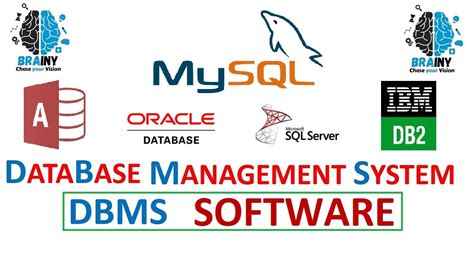 database management system software dbms characteristics of database management system youtube