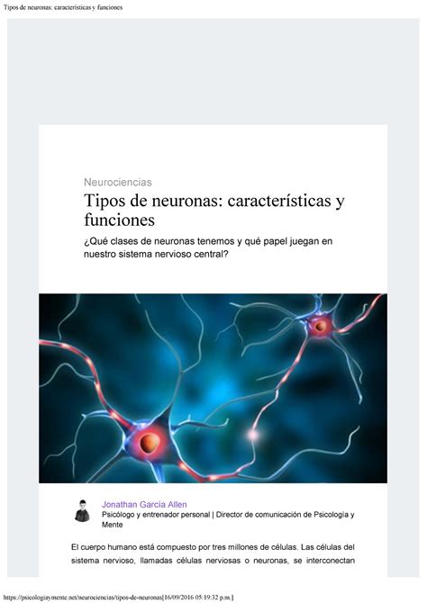 Tipos De Neuronas Y Sus Caracteristicas Y Funciones Neurociencias