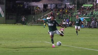 Brasileirão 2023 Cruzeiro x Palmeiras Melhores Momentos Globoplay