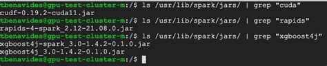 illegal argument exception features does not exist · issue 21 · nvidia spark rapids