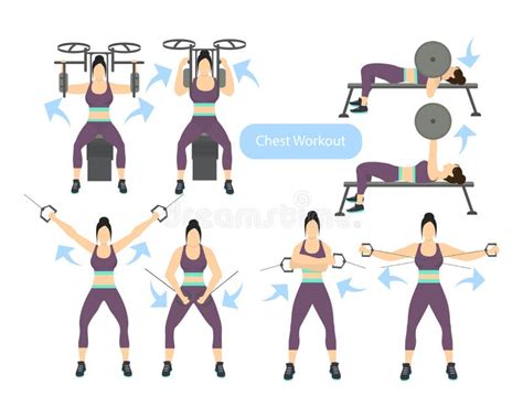 Chest Exercises For Saggy Breasts Can You Actually Lift Them