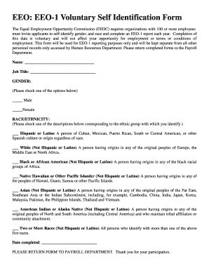 Fillable Online EEO EEO 1 Voluntary Self Identification Form Camp