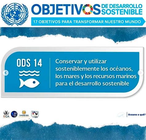 ODS 14 Vida Submarina Zero Risk 2030