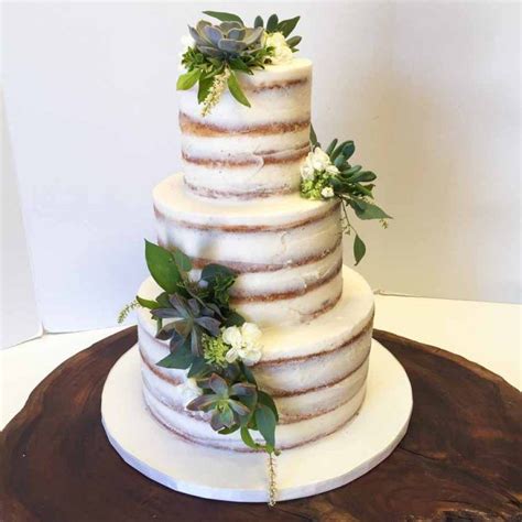 Succulent Cuttings For Cake Jenna Urban Succulents Savoury