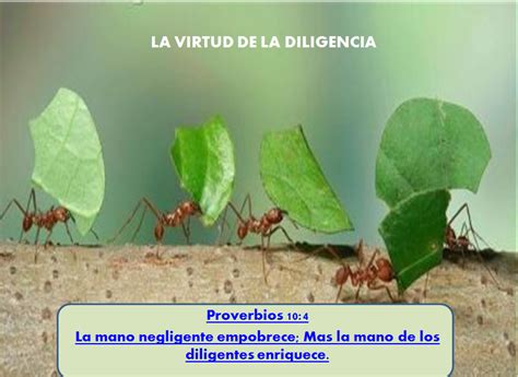 LA VIRTUD DE LA DILIGENCIA Iglesia Cristiana Dos Hemisferios