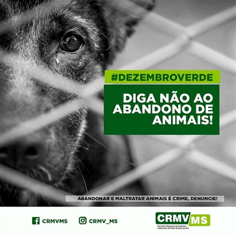 Dezembro Verde CRMVMS