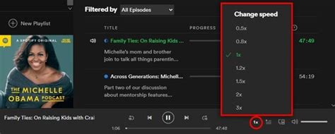 Best Methods To Try For Changing Playback Speed In Spotify
