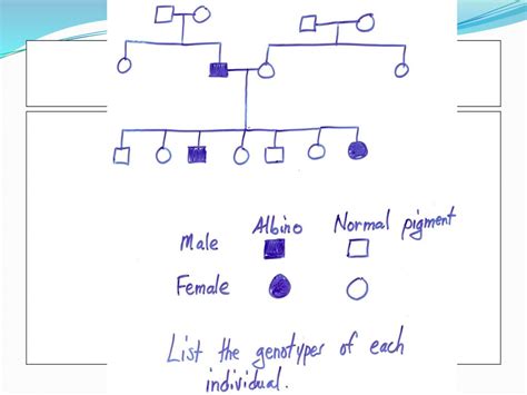 Lesson 8 Complex Inheritance