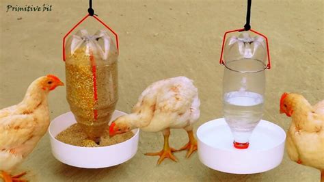 Comederos Y Bebederos Para Gallinas