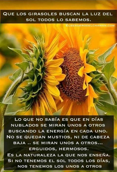 Verdaderamente Sorprendente Eso Es A Cuidarse