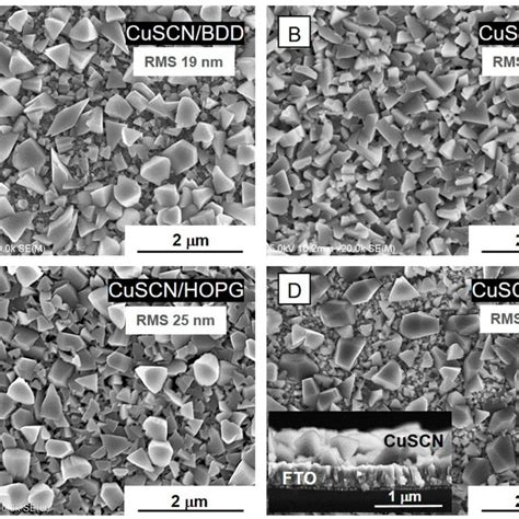 SEM Images Of CuSCN Electrodeposited On A Boron Doped Diamond