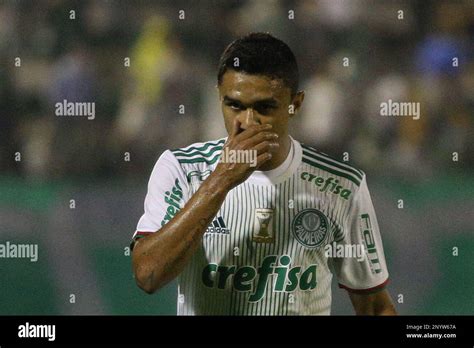 SC Chapeco 20 05 2017 Brasileiro A 2017 Chapecoense X Palmeiras