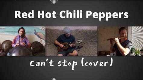 Red Hot Chili Peppers Cant Stop Folk Cover Youtube