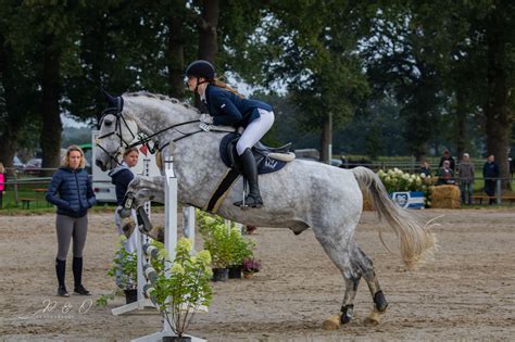 Reitabzeichen 2024 LZRFV Haltern Am See E V