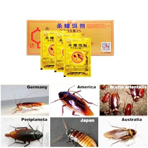 Jual RACUN KECOA IMPORT CHINA Mie Zhang Qing Shopee Indonesia