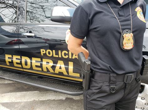 PF combate desmatamento ilegal na região de Itaquiraí MS Polícia Federal