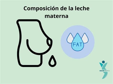 Leche materna composición Lo más escencial Salin Médica