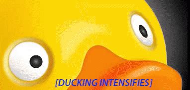 Ducking Intensifies Ducking Ducking Ducking Intensifies
