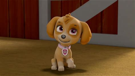 Skye The Cockapoo Paw Patrol Patrulla De Cachorros Foto 40719568 Fanpop