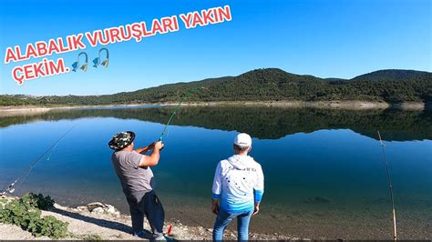 HARİKA ALABALIK AVI Ziller Susmadı Balık Avı 2024 Barajda Alabalık Avı