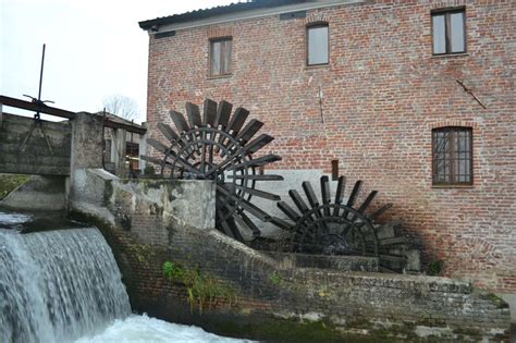 Cosa vedere a Vigevano e perché è la città ideale LifeGate