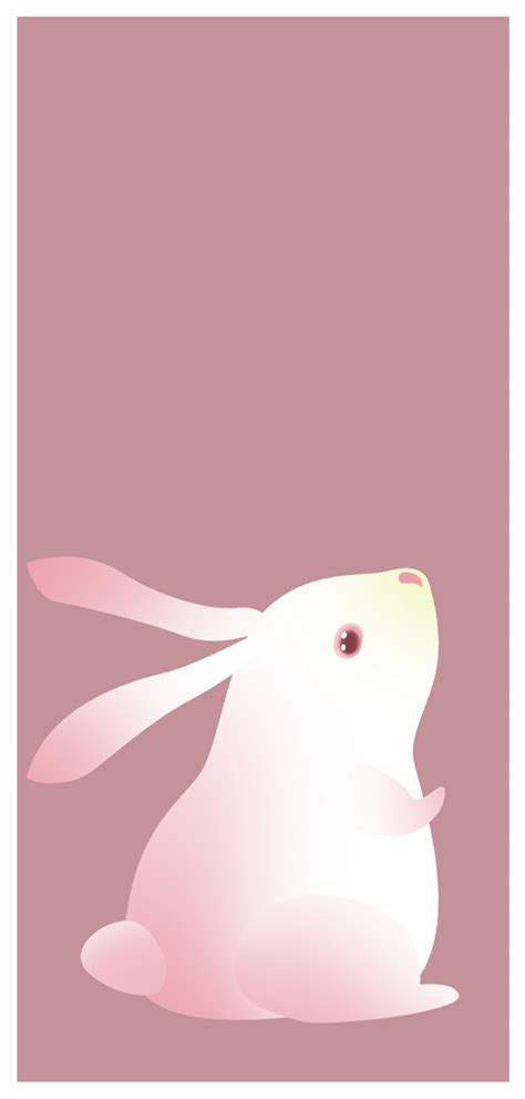 Rabbit Aesthetic Wallpapers Wallpaper Cave