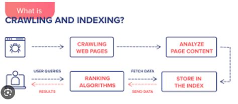 What Is The Difference Between Crawling And Indexing In Seo Dedicated