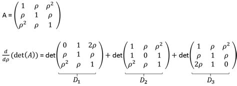 the derivative of the determinant of a matrix the do loop
