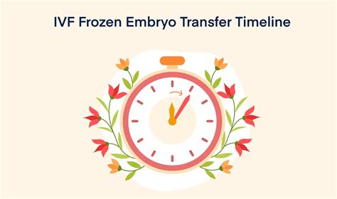 Ivf Frozen Embryo Transfer Timeline Process Pregnancy Test