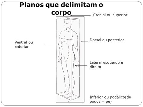 O Que São Planos De Delimitação REVOEDUCA
