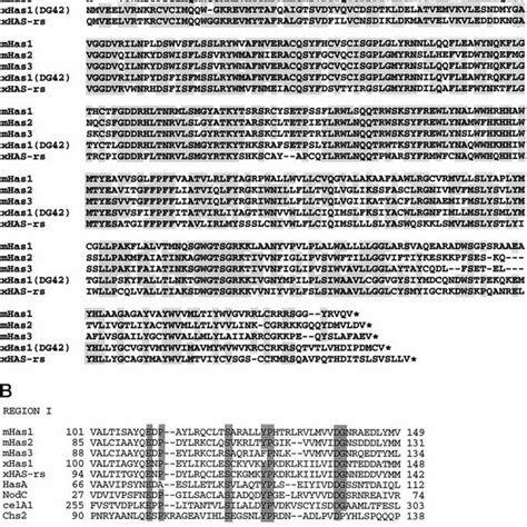 Multiple Amino Acid Sequence Alignment Of Vertebrate HAS Enzymes