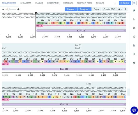 translating dna and rna sequences to amino acids using alternative genetic codes benchling