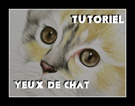 Tuto apprendre à dessiner des yeux de chat en moins de 5 min