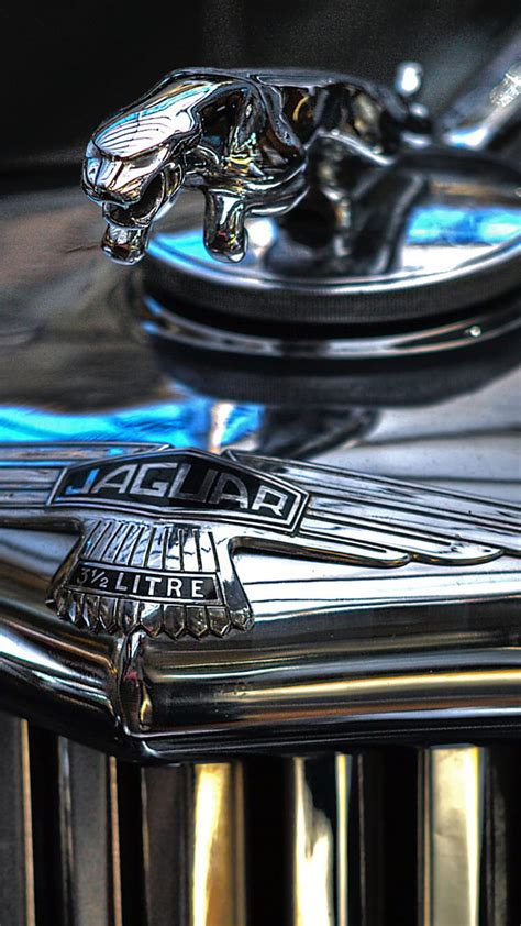 Jaguar Car Logo Hd Images Infoupdate Org