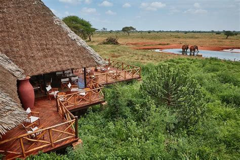 2 Days Mombasa Safari To Ngutuni Taita Hills Salt Lick