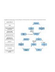 Concept Map Png Complete The Concept Map By Correctly Adding The