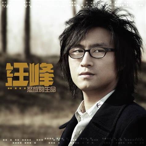 专辑汪峰 怒放的生命 影音娱乐 新浪网