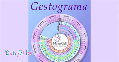 Gestograma Baby Blim