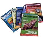 Consejo De Colegios Profesionales De Veterinarios De Castilla La Mancha