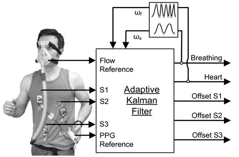 an adaptive kalman filter approach for cardiorespiratory signal extraction and fusion of non