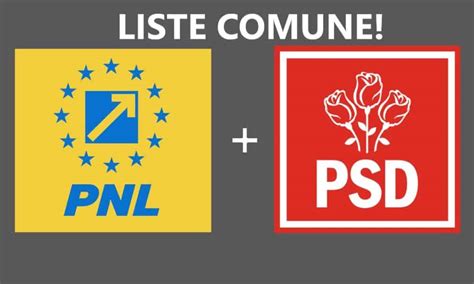 Câți europarlamentari vrea alianța PSD PNL la alegerile din 9 iunie 2024