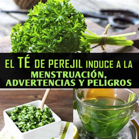 Descubre Los Increíbles Beneficios Del Té De Perejil Para La Limpieza