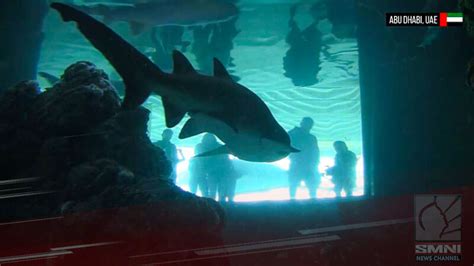 SeaWorld Abu Dhabi Reveals Opening Date