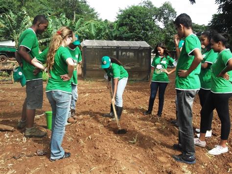 Jovem Aprendiz Rural Como Funciona Inscri Es E Vagas Pelo Senar