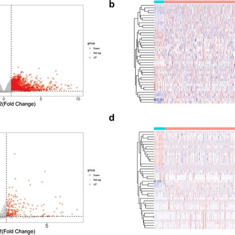 The Volcano Plot Of Differentially Expressed MRNA And MiRNA And The