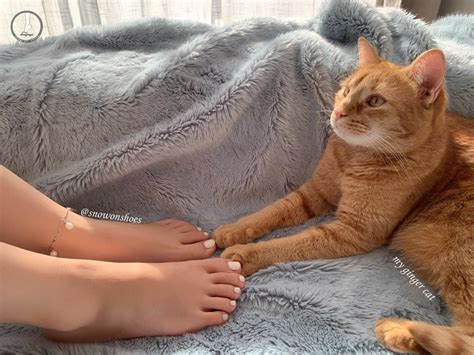 Bonding With My Cat Have A Nice Weekend Scrolller
