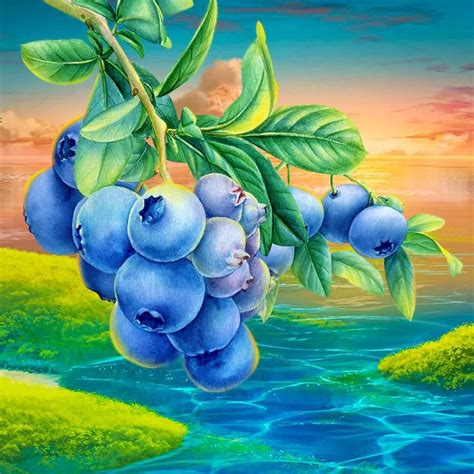 A Painting Of Blueberries Hanging From A Tree Branch Over A Body Of