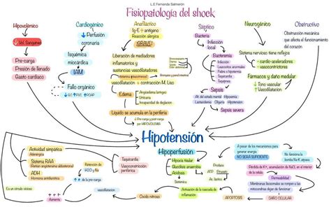 Fisiopatologia Del Shock