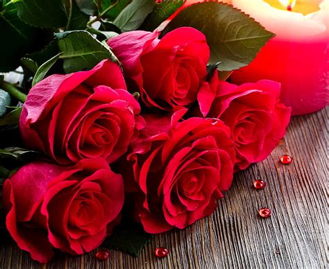 Top Rosas Rojas En Hd Abzlocal Mx