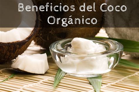 Beneficios del aceite de coco orgánico La Guía de las Vitaminas